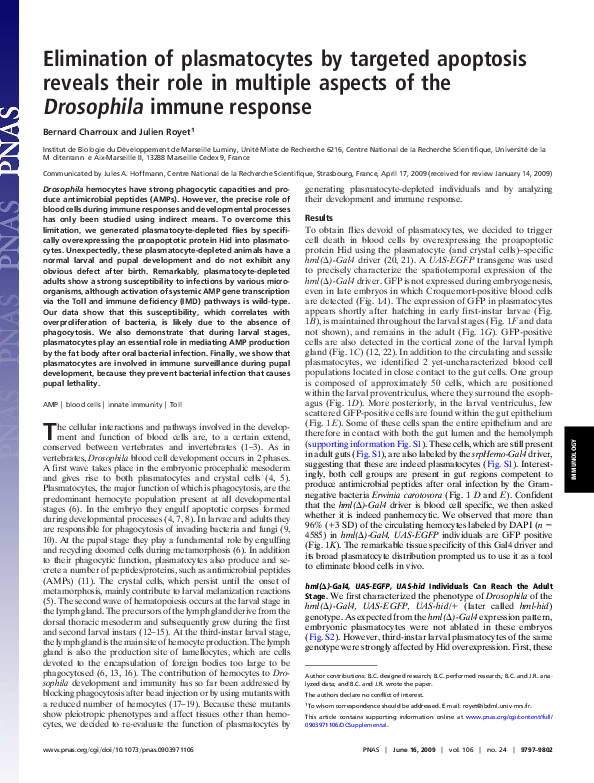 (PDF) Elimination of plasmatocytes by targeted apoptosis reveals their ...