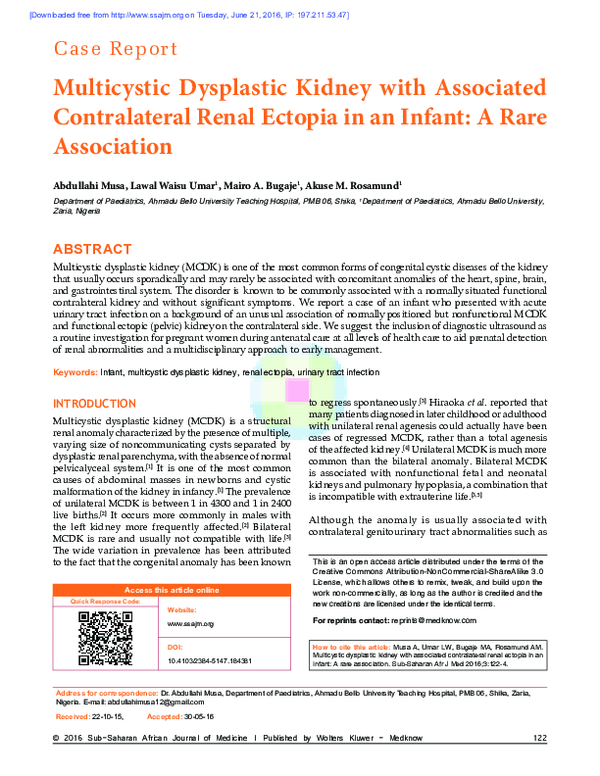 (PDF) Multicystic Dysplastic Kidney with Associated Contralateral Renal ...