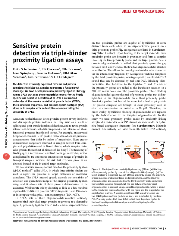 (PDF) Sensitive protein detection via triple-binder proximity ligation assays