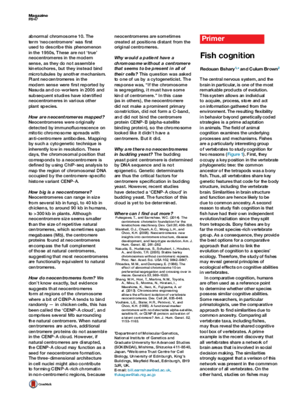 (PDF) Fish cognition | Culum Brown - Academia.edu