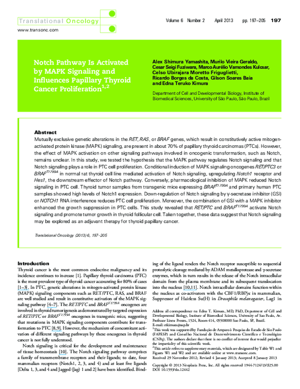 (PDF) Notch Pathway Is Activated by MAPK Signaling and Influences ...