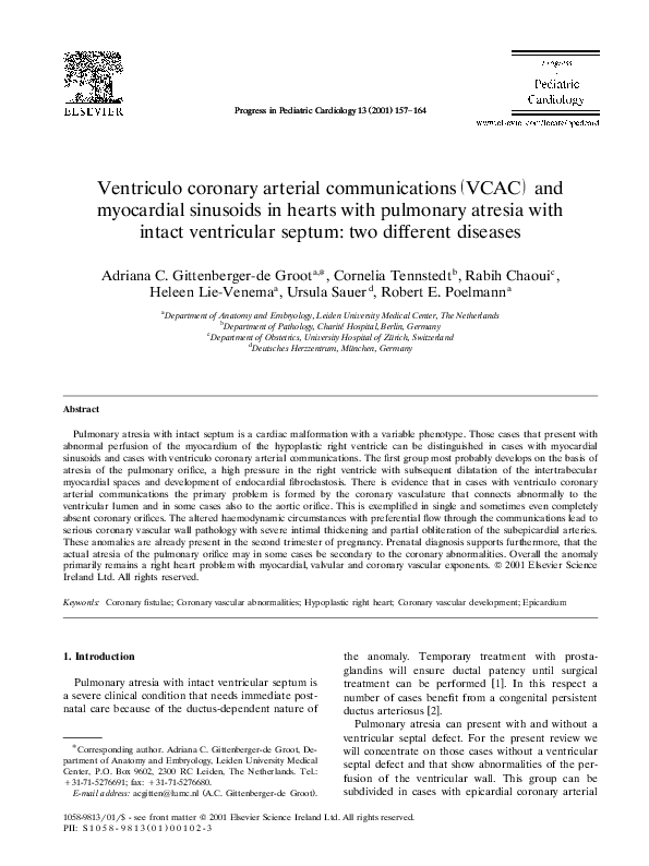 (PDF) Ventriculo coronary arterial communications (VCAC) and myocardial ...