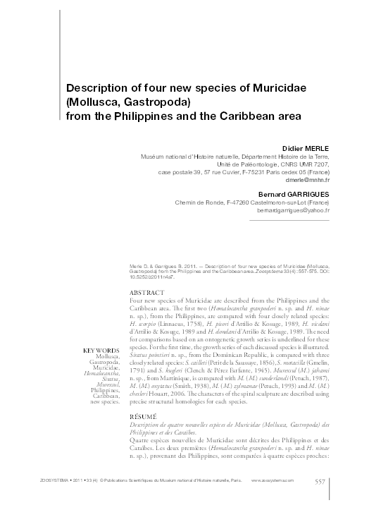 (PDF) Description of four new species of Muricidae (Mollusca ...