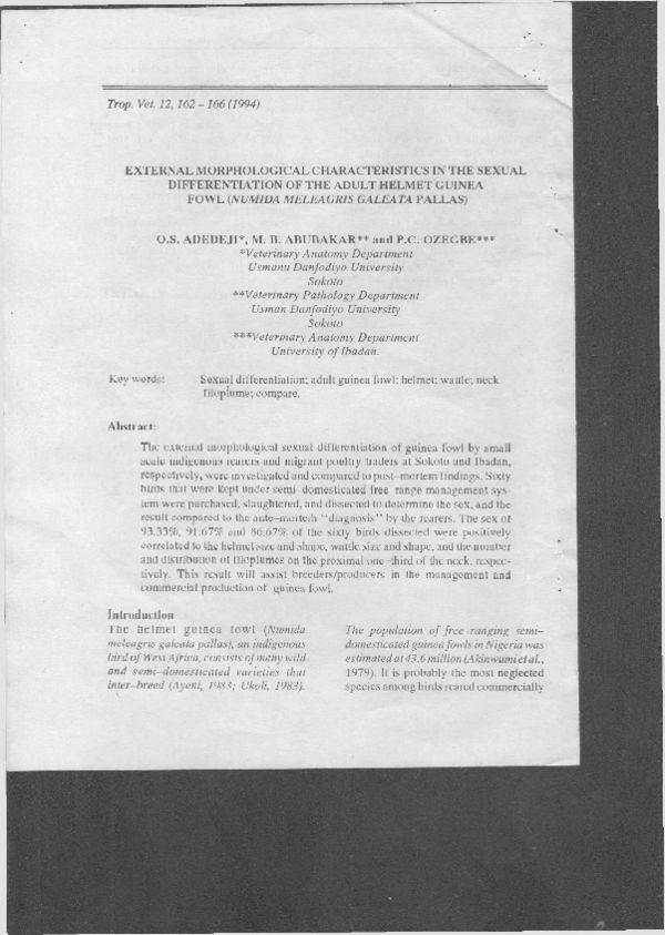 (PDF) EXTERNAL MORPHOLOGICAL CHARACTERISTICS IN THE SEXUAL ...