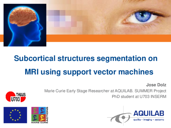 (PDF) Subcortical structures segmentation on MRI using support vector machines