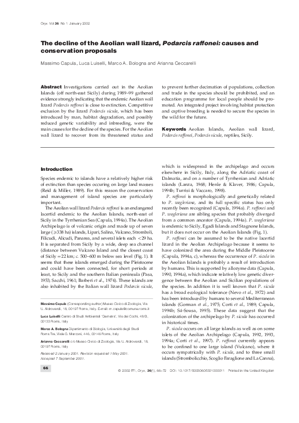 (PDF) The decline of the Aeolian wall lizard, Podarcis raffonei: causes ...
