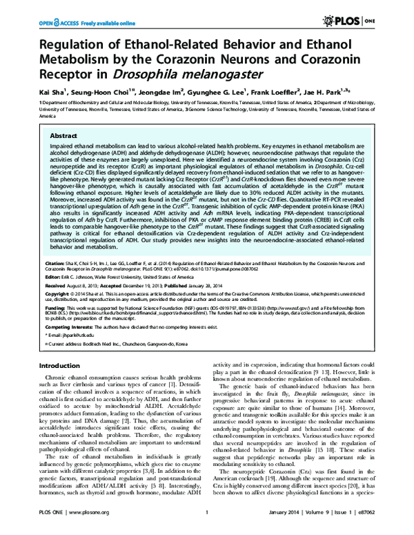 Pdf Regulation Of Ethanol Related Behavior And Ethanol Metabolism By