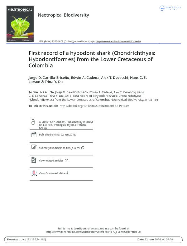 (PDF) First record of a hybodont shark (Chondrichthyes: Hybodontiformes ...