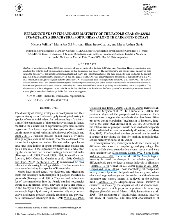 (PDF) Reproductive system and size maturity of the paddle crab Ovalipes ...