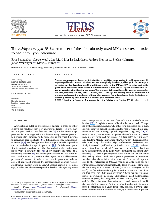 (PDF) The Ashbya gossypiiEF-1α promoter of the ubiquitously used MX ...