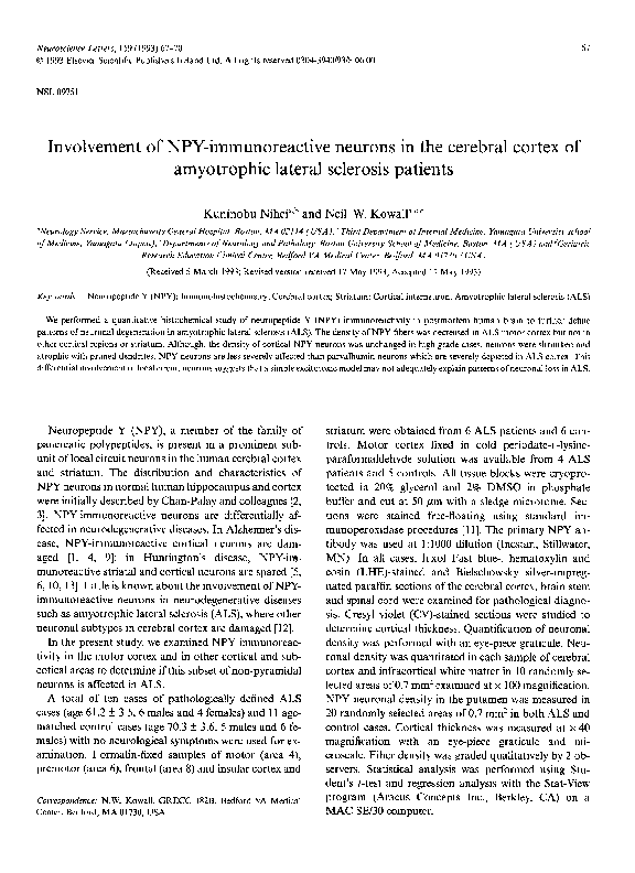 (PDF) Involvement of NPY-immunoreactive neurons in the cerebral cortex ...