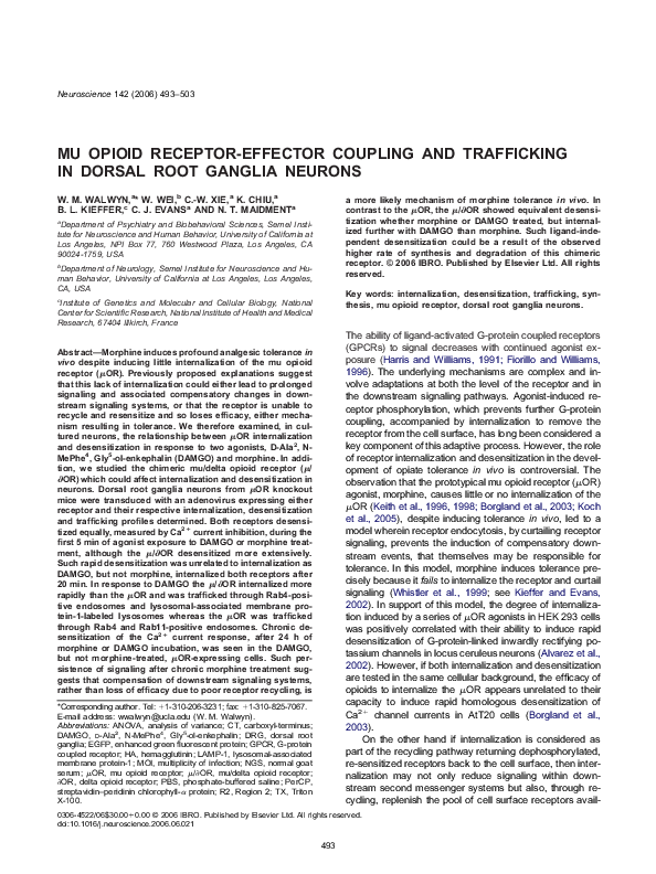 (PDF) Mu opioid receptor-effector coupling and trafficking in dorsal ...