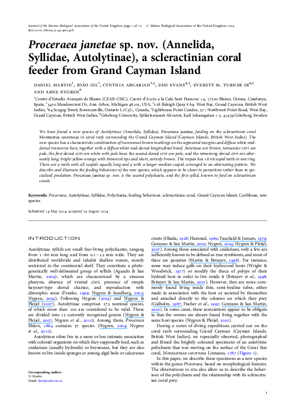 (PDF) Proceraea janetae sp. nov.(Annelida, Syllidae, Autolytinae), a ...