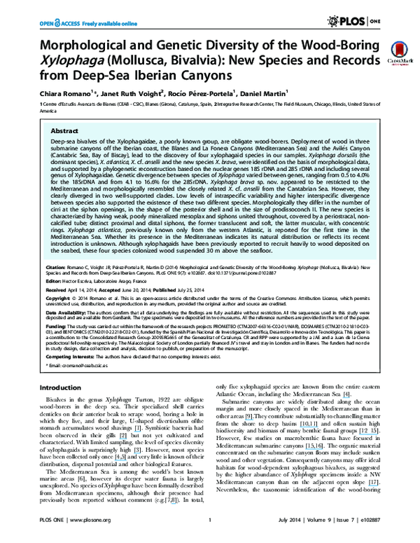 (PDF) Morphological and Genetic Diversity of the Wood-Boring Xylophaga ...
