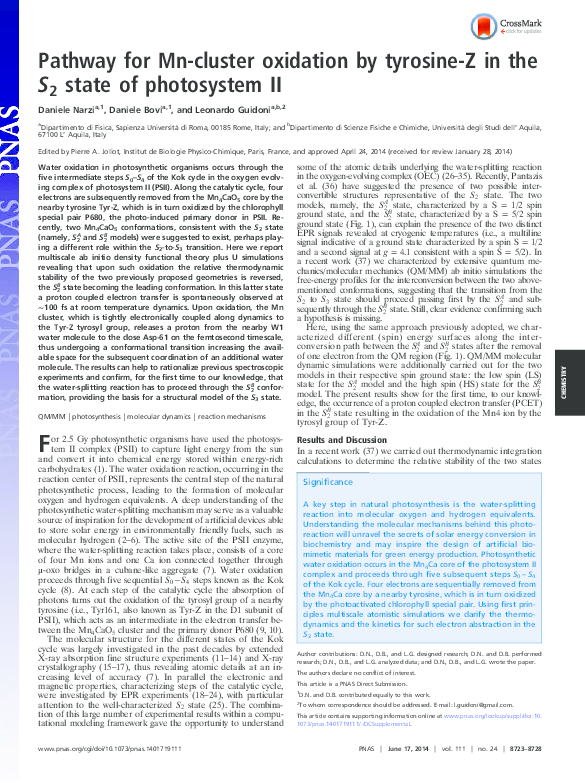 (PDF) Pathway for Mn-cluster oxidation by tyrosine-Z in the S2 state of ...