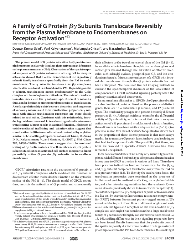 (PDF) A Family of G Protein beta Subunits Translocate Reversibly from ...