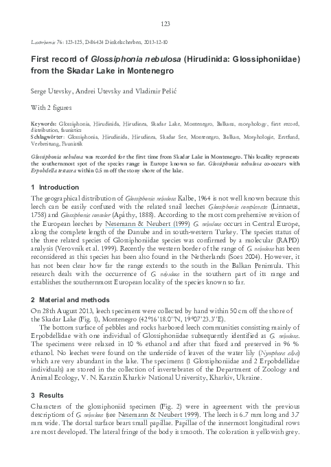 (PDF) First record of Glossiphonia nebulosa (Hirudinida ...