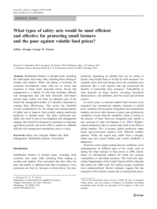 (PDF) What types of safety nets would be most efficient and effective ...