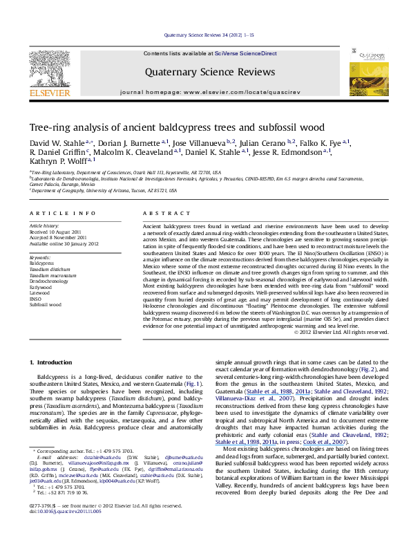 (PDF) Tree-ring analysis of ancient baldcypress trees and subfossil wood