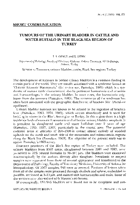 (PDF) Tumours of the urinary bladder in cattle and water buffalo in the ...