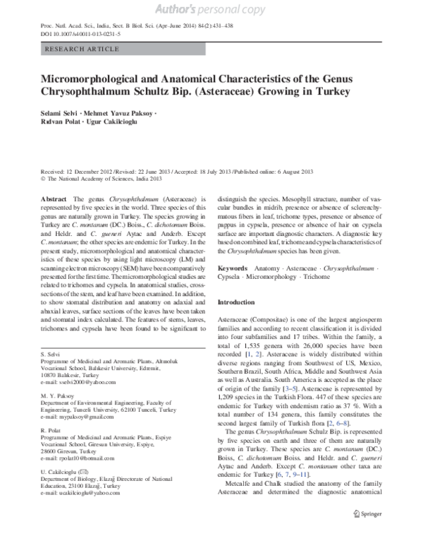 (PDF) Micromorphological and Anatomical Characteristics of the Genus Chrysophthalmum Schultz Bip ...