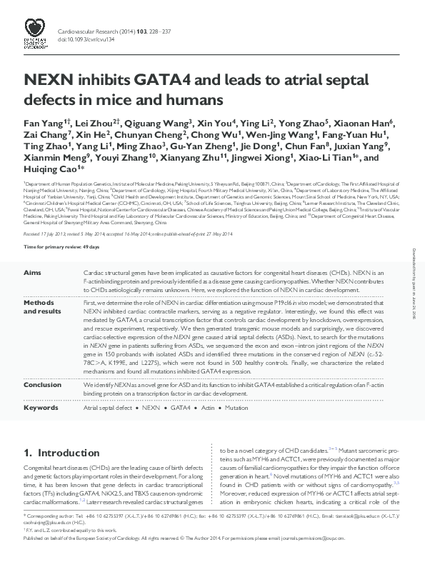 (PDF) NEXN inhibits GATA4 and leads to atrial septal defects in mice ...