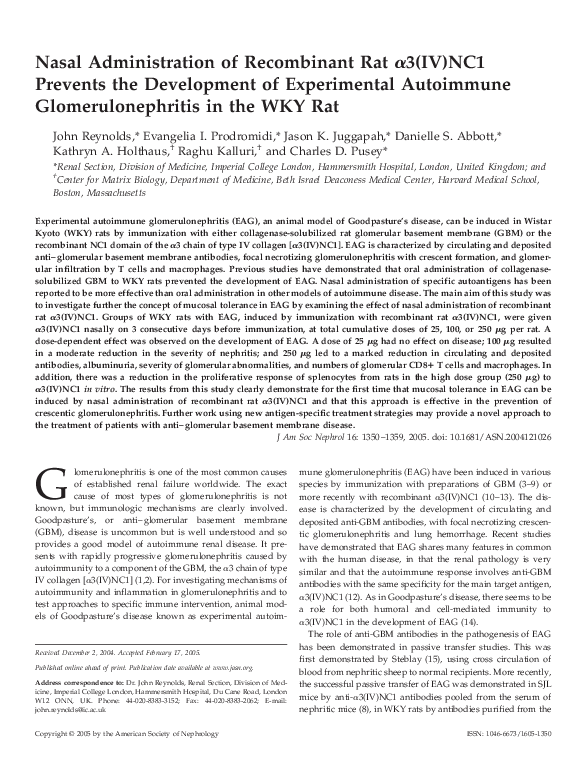 (PDF) Nasal Administration of Recombinant Rat 3(IV)NC1 Prevents the ...