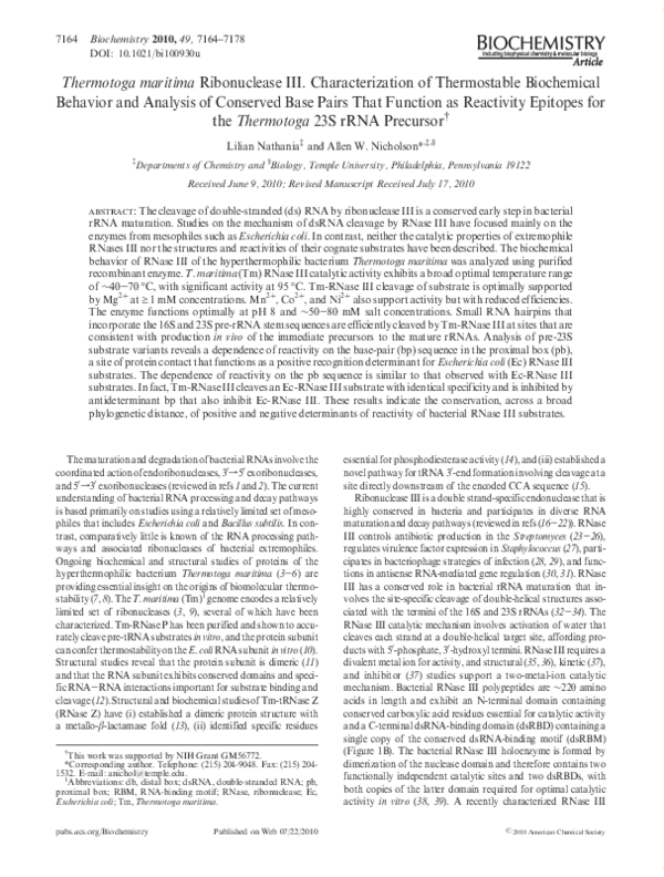 (PDF) Thermotoga maritima Ribonuclease III. Characterization of ...