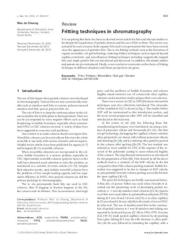 (PDF) Fritting techniques in chromatography