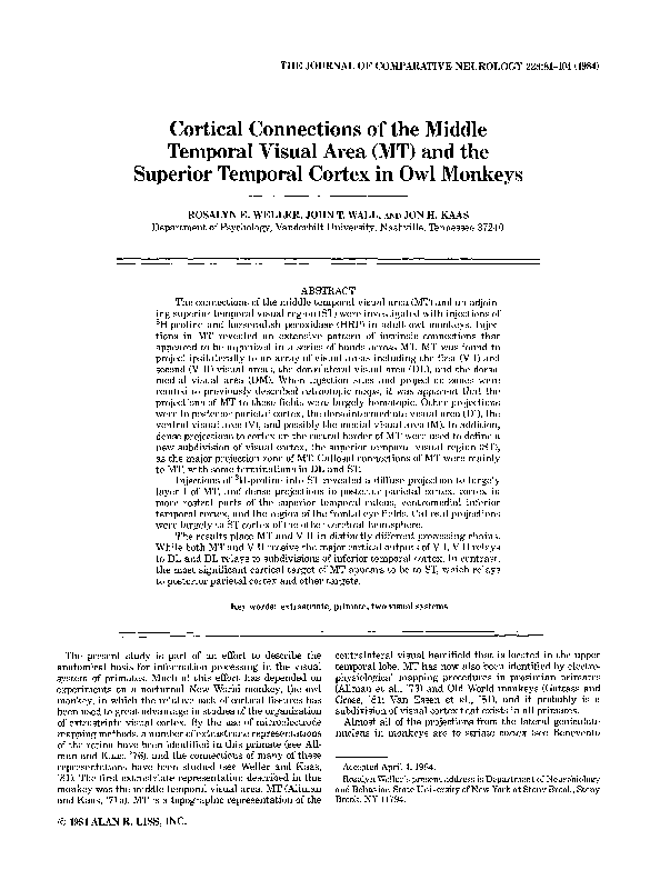 (PDF) Cortical connections of the middle temporal visual area (MT) and ...