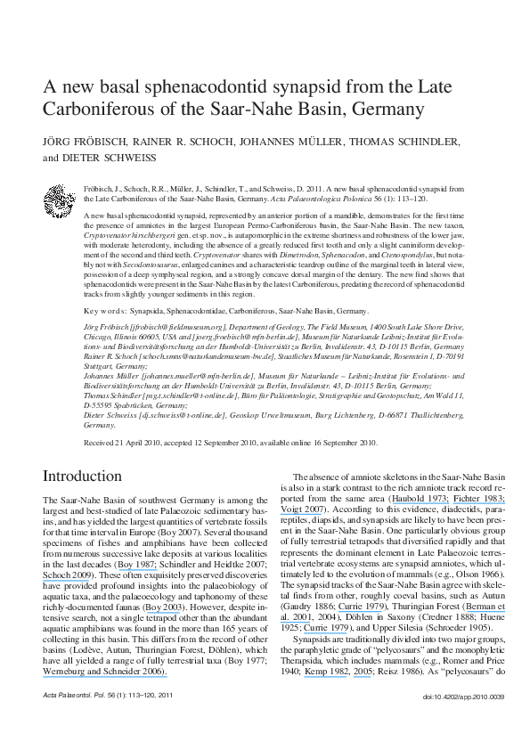 (PDF) A New Basal Sphenacodontid Synapsid from the Late Carboniferous ...
