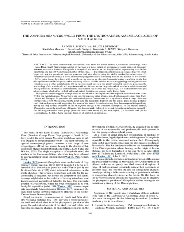 (PDF) The amphibamid Micropholis from the Lystrosaurus Assemblage Zone ...