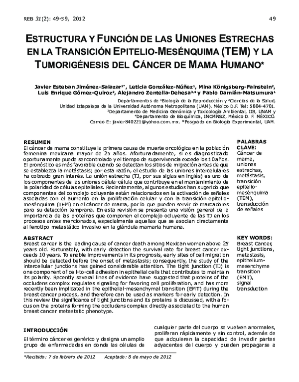(PDF) Estructura y Función De Las Uniones Estrechas