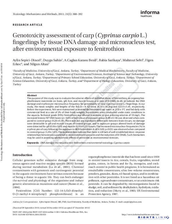 (PDF) Genotoxicity assessment of carp ( Cyprinus carpio L.) fingerlings ...