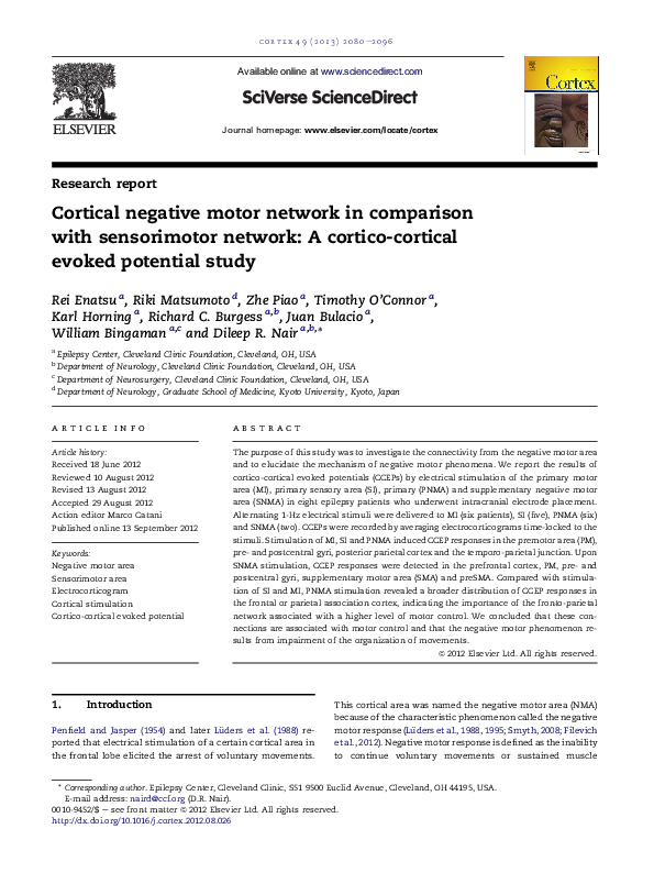 (PDF) Cortical negative motor network in comparison with sensorimotor network: A cortico ...