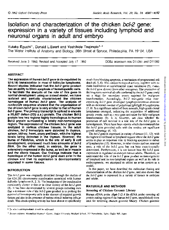 (PDF) Isolation and characterization of the chicken bcl–2 gene ...