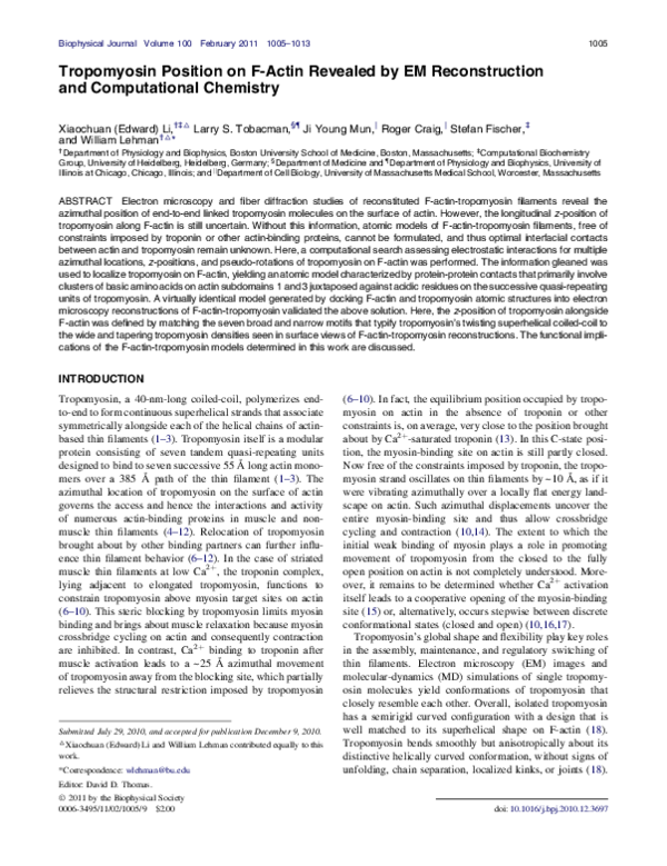 (PDF) Tropomyosin Position on F-Actin Revealed by EM Reconstruction and ...