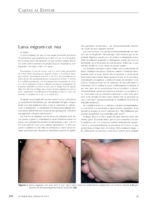 (PDF) Larva migrans cutánea
