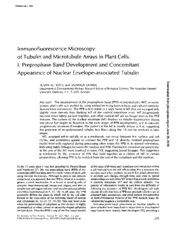(PDF) Immunofluorescence microscopy of tubulin and microtubule arrays ...