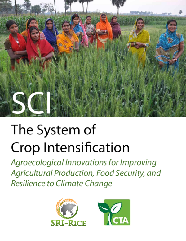 (PDF) The system of crop intensification: reports from the field on ...