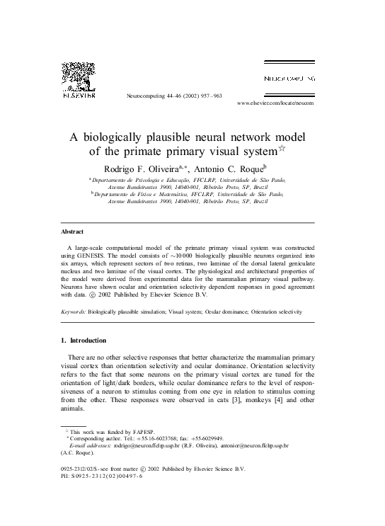 (PDF) A biologically plausible neural network model of the primate primary visual system