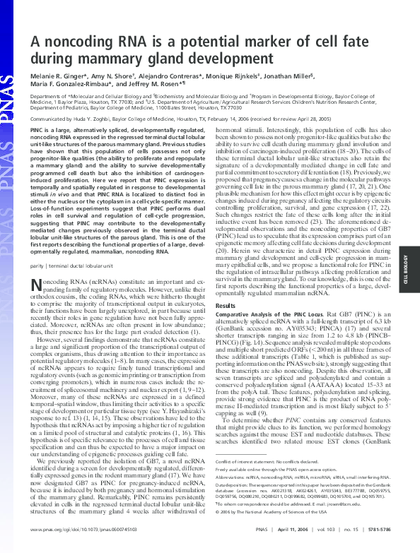 (PDF) A noncoding RNA is a potential marker of cell fate during mammary gland development