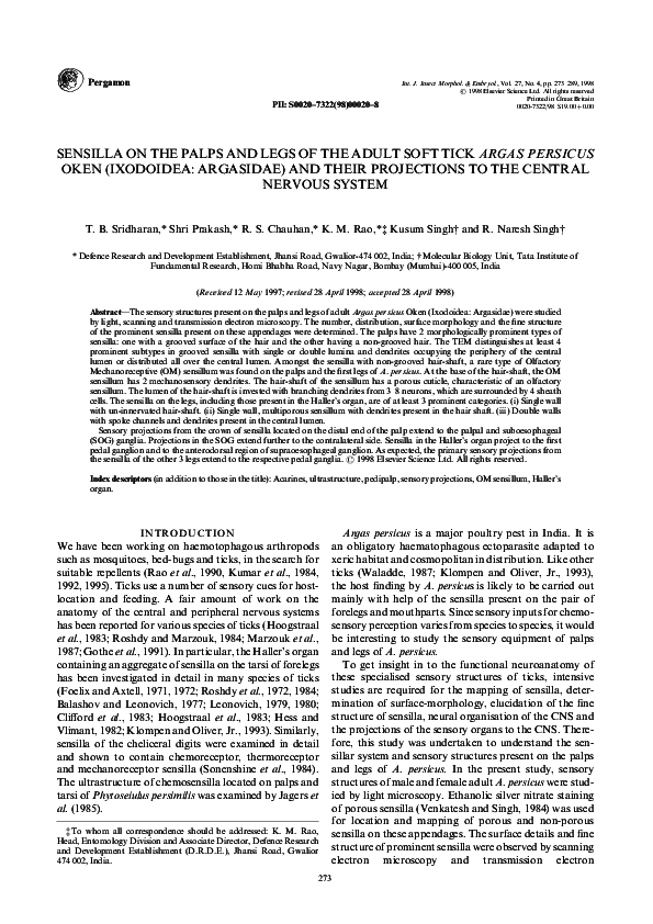 (PDF) Sensilla on the palps and legs of the adult soft tick argas ...