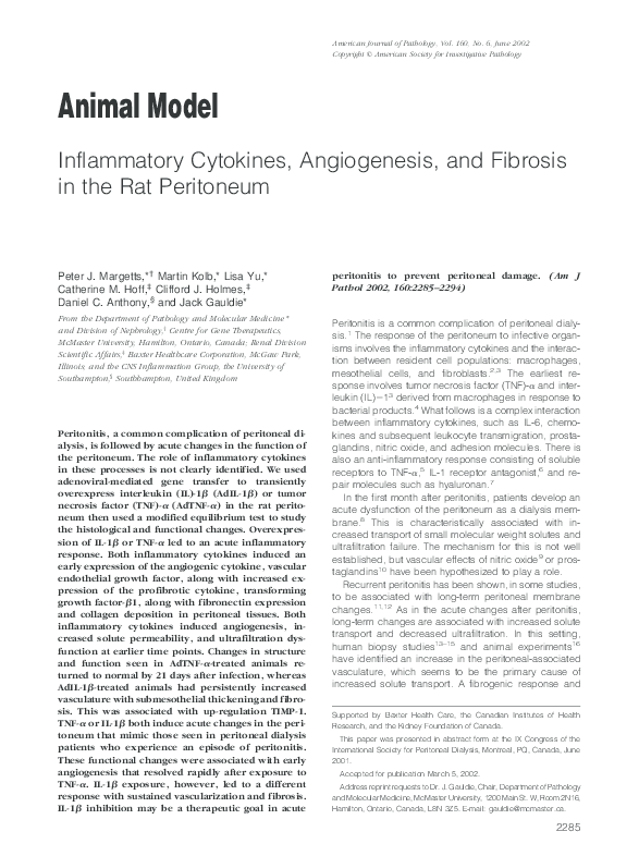 (PDF) Inflammatory Cytokines, Angiogenesis, and Fibrosis in the Rat ...