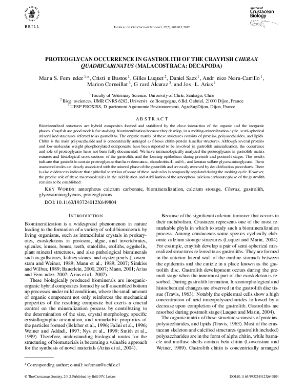 (PDF) Proteoglycan occurrence in gastrolith of the crayfish Cherax ...