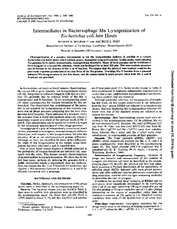 Intermediates in bacteriophage Mu lysogenization of Escherichia coli ...
