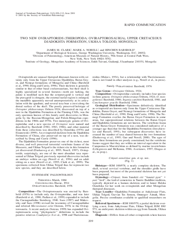 (PDF) Two new oviraptorids (Theropoda: Oviraptorosauria), Upper ...