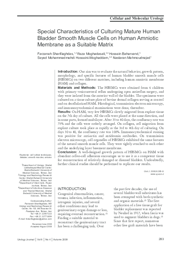 (PDF) Special characteristics of culturing mature human bladder smooth ...