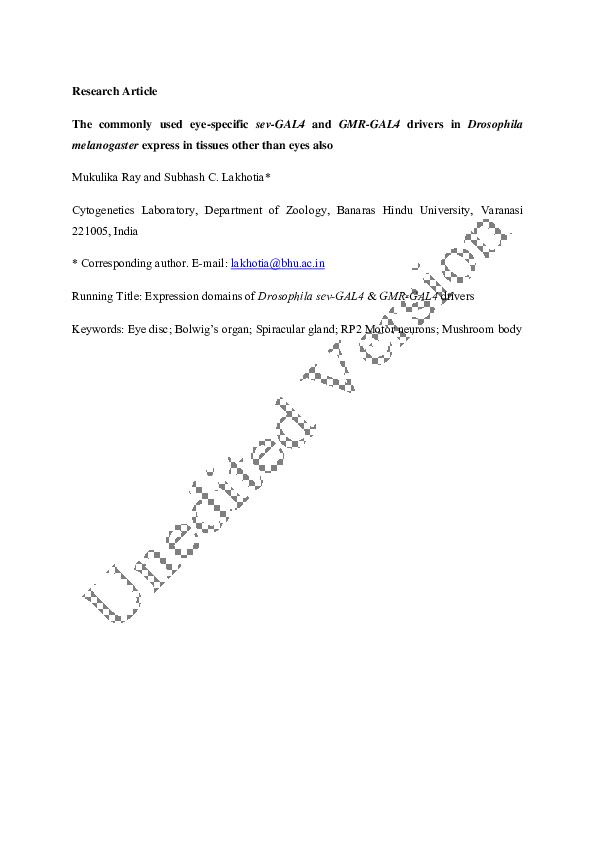 (PDF) The commonly used eye-specific sev-GAL4 and GMR-GAL4 drivers in ...