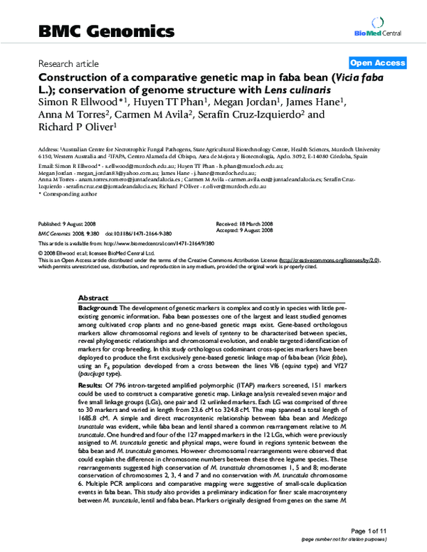 (PDF) Construction of a comparative genetic map in faba bean (Vicia faba L.); conservation of ...